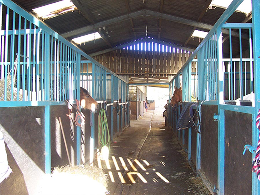 Greenbank Livery Yards Near Lancaster and Kendal